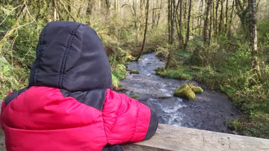 Outdoors with Kids in Chehalem Valley: Harvey Creek Trail – Cherice Bock